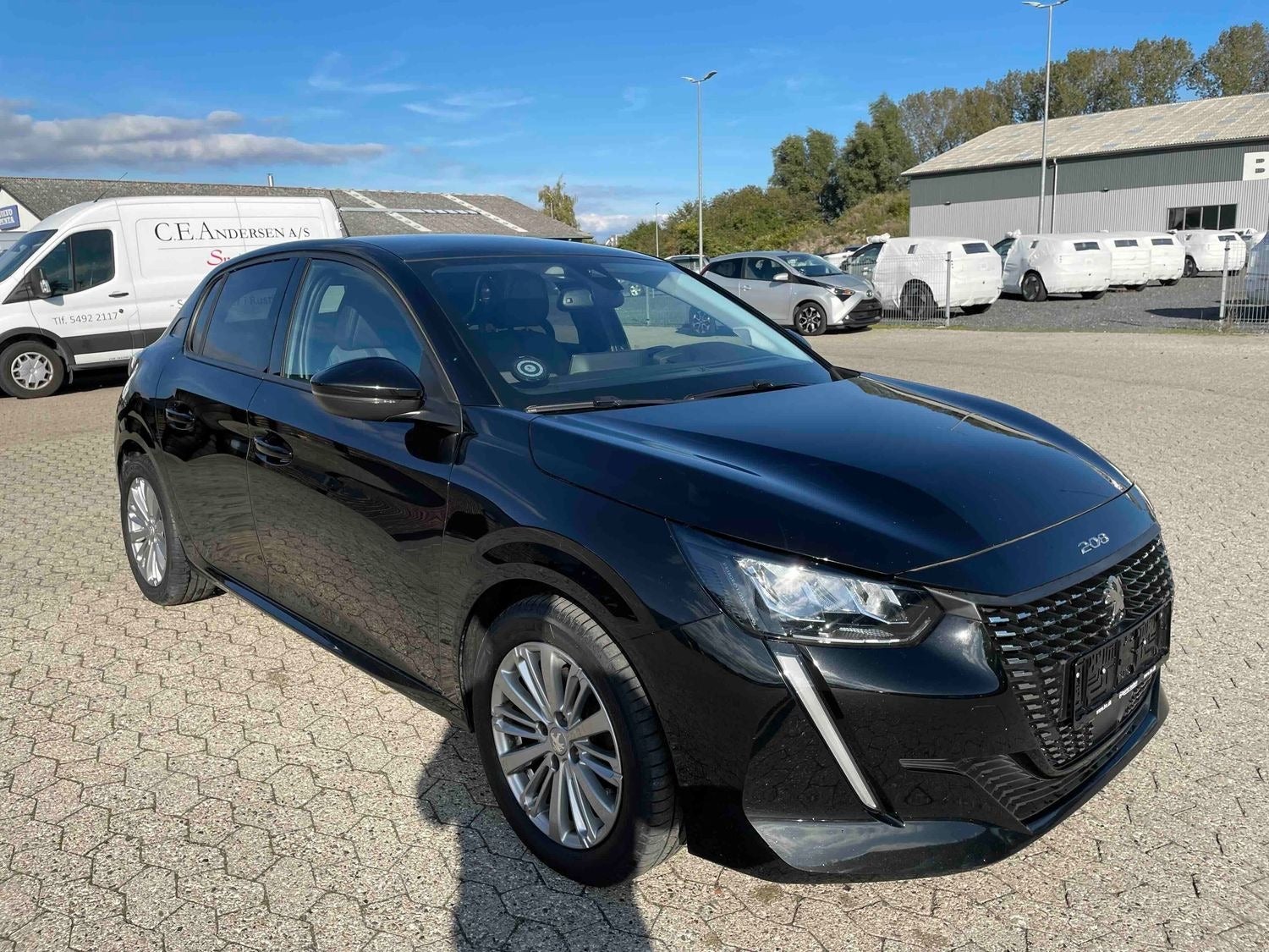 Peugeot 208 BlueHDi 100 Allue Sky Van